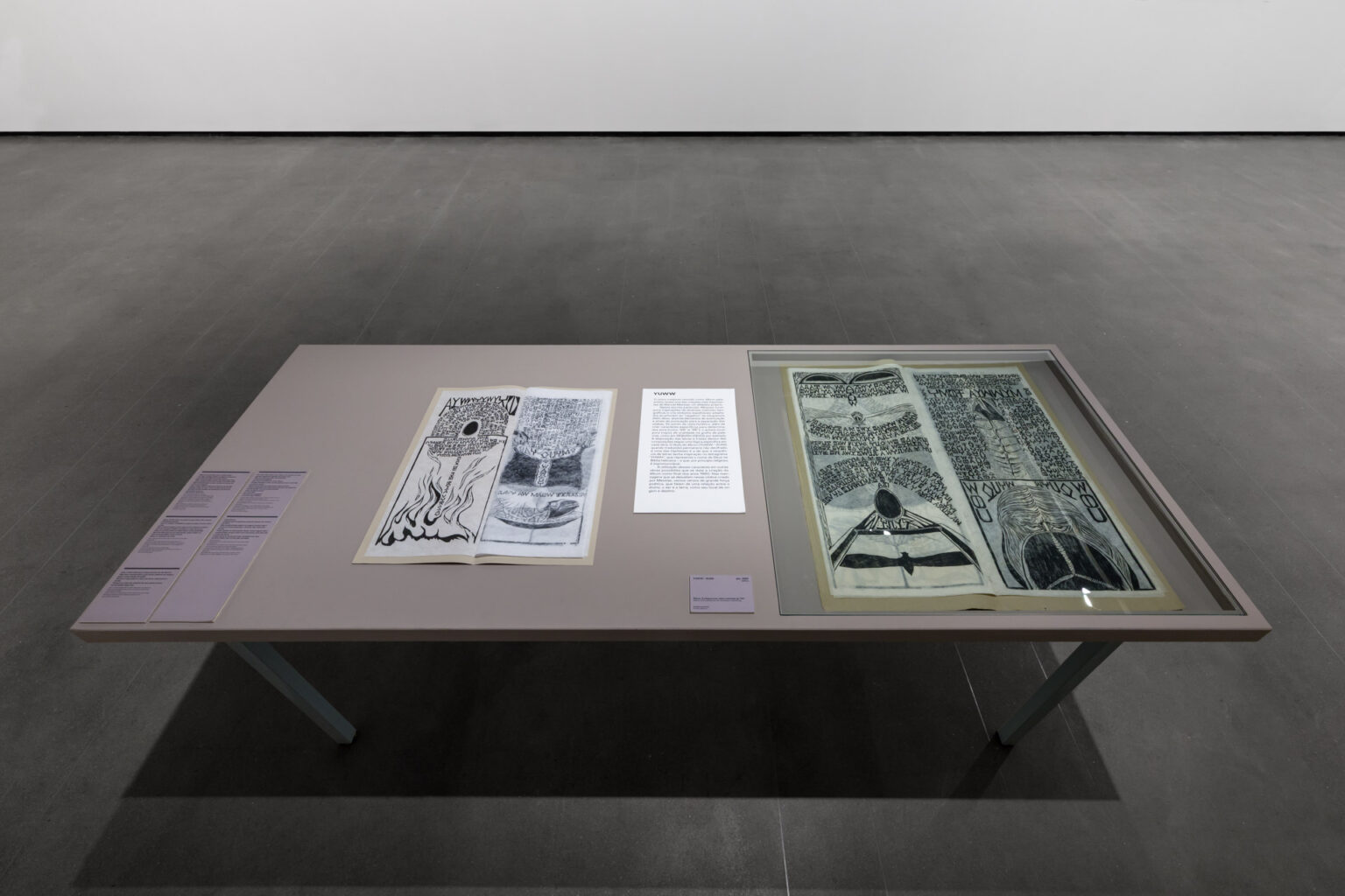 Manuel Messias – Sem Limites - Instituto Tomie Ohtake